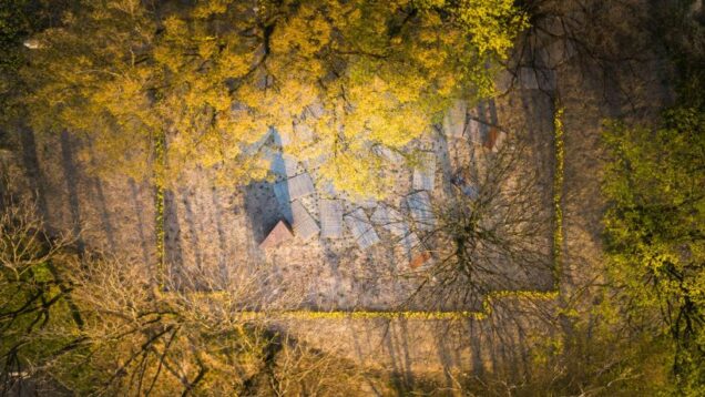 e-zeppelin - zeppelin magazine site