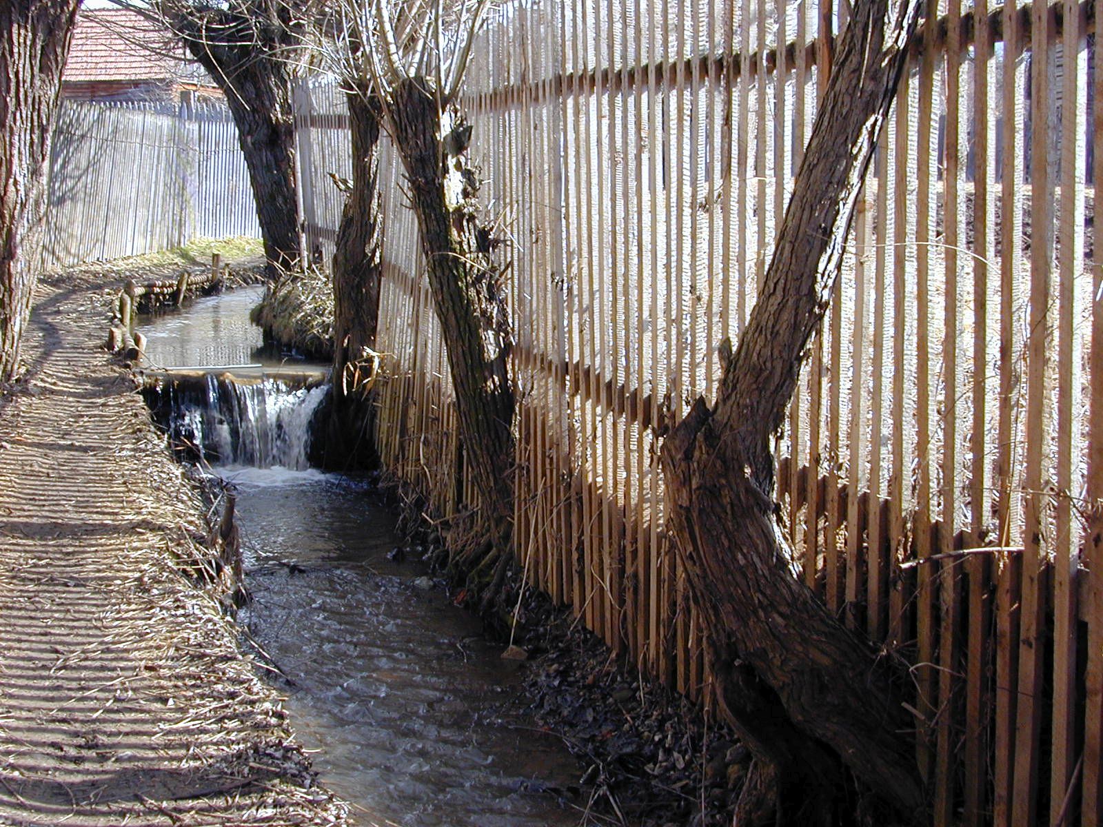 Larix Studio: Amenajarea pieţei din Mădăraş, Harghita / e-zeppelin.ro ...