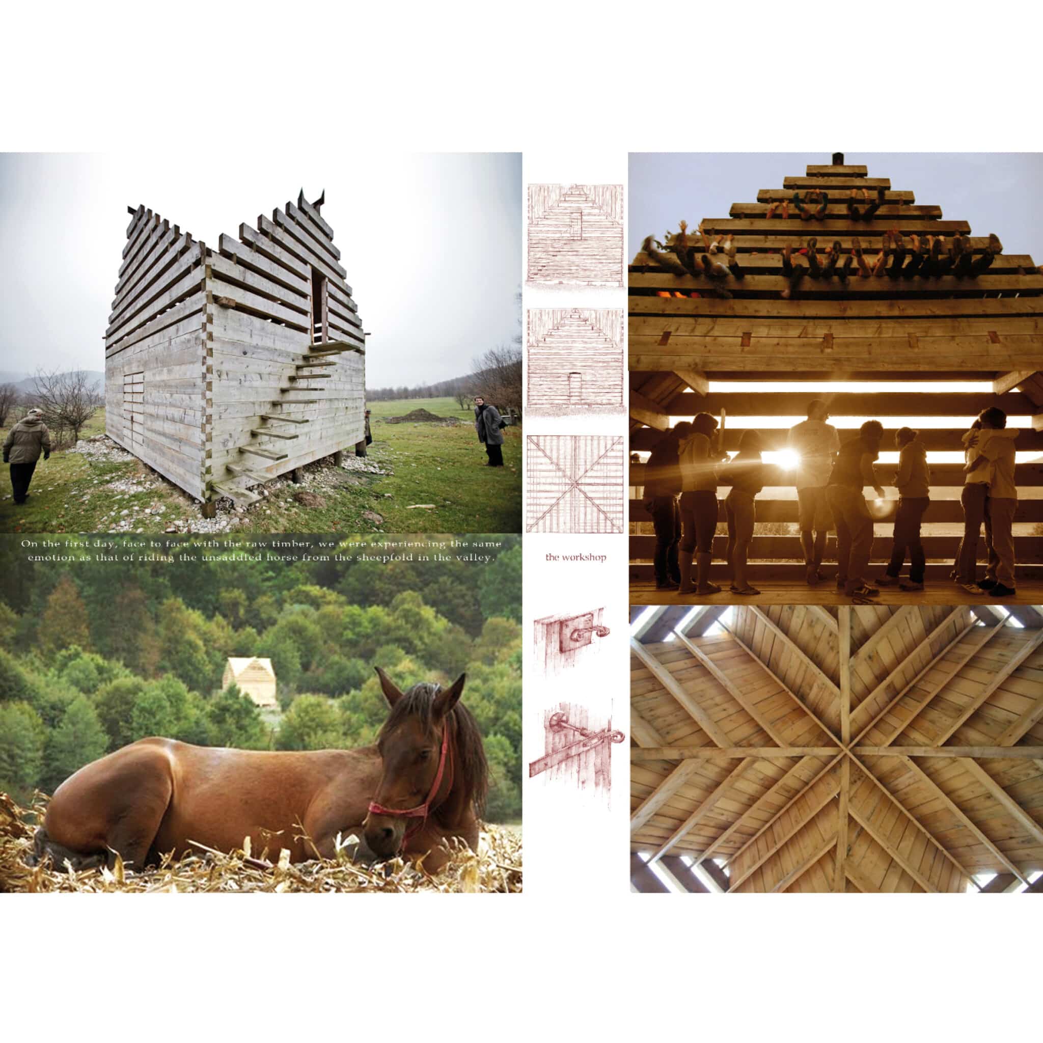 „Școala de la Bunești”, de Ana-Maria Goilav și Petre Guran, Marele ...